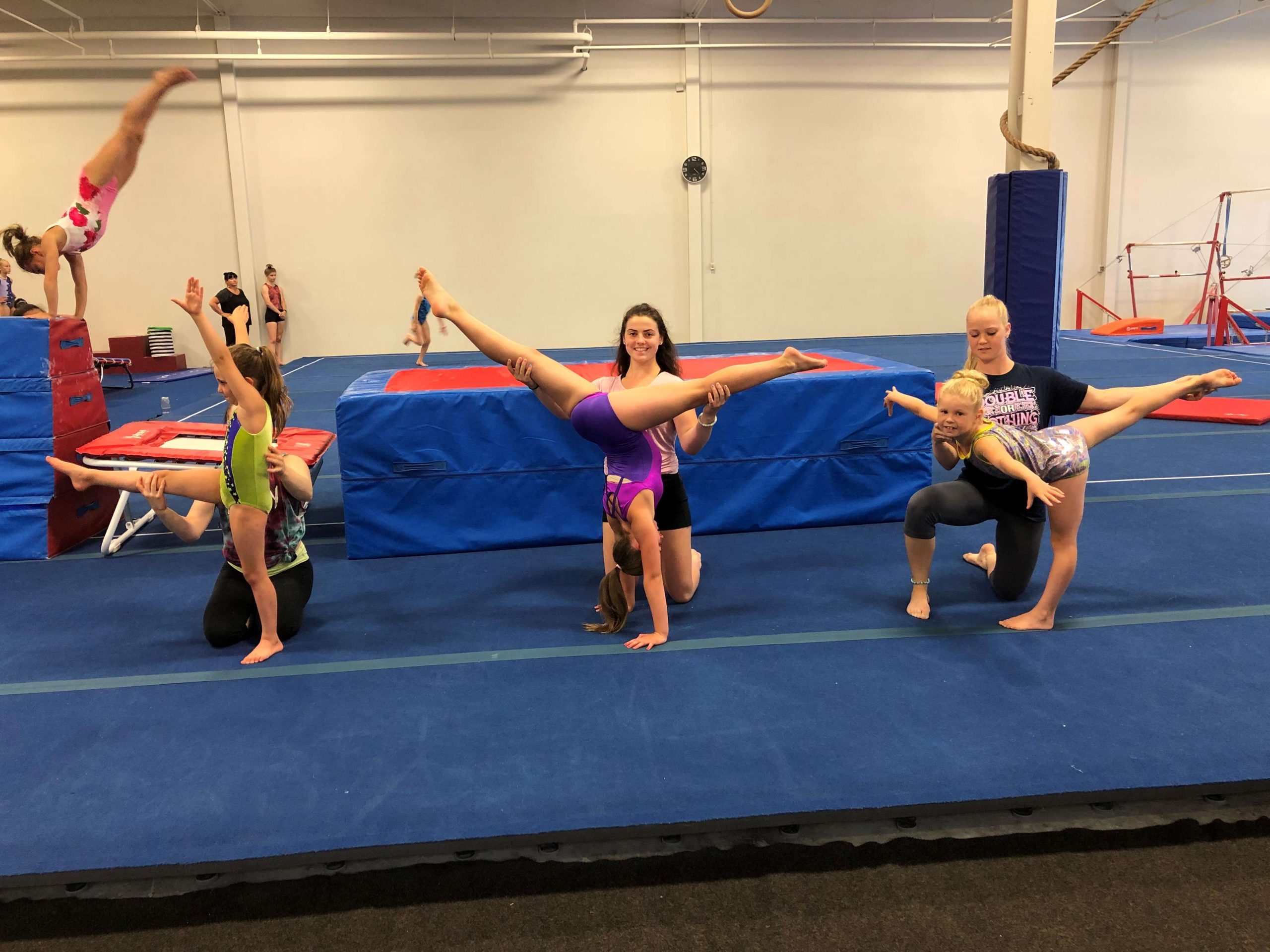 Gymnastics Classes Winnipeg | Spartans Gymnastics